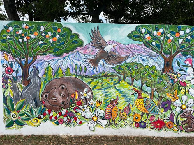 Ojai’s biosphere bursts open in OVS mural | Culture | ojaivalleynews.com