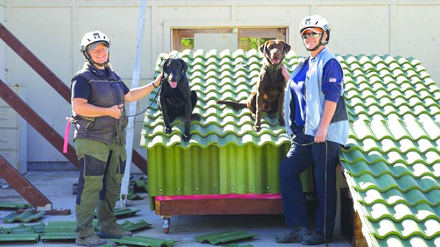 Elite search dogs train on donated roof tiles from Iowa | County ...