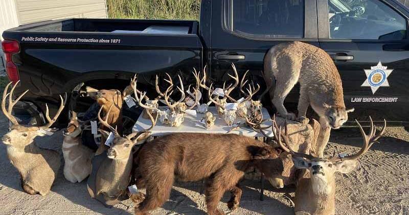Poaching conspiracy crew sentenced | County | ojaivalleynews.com