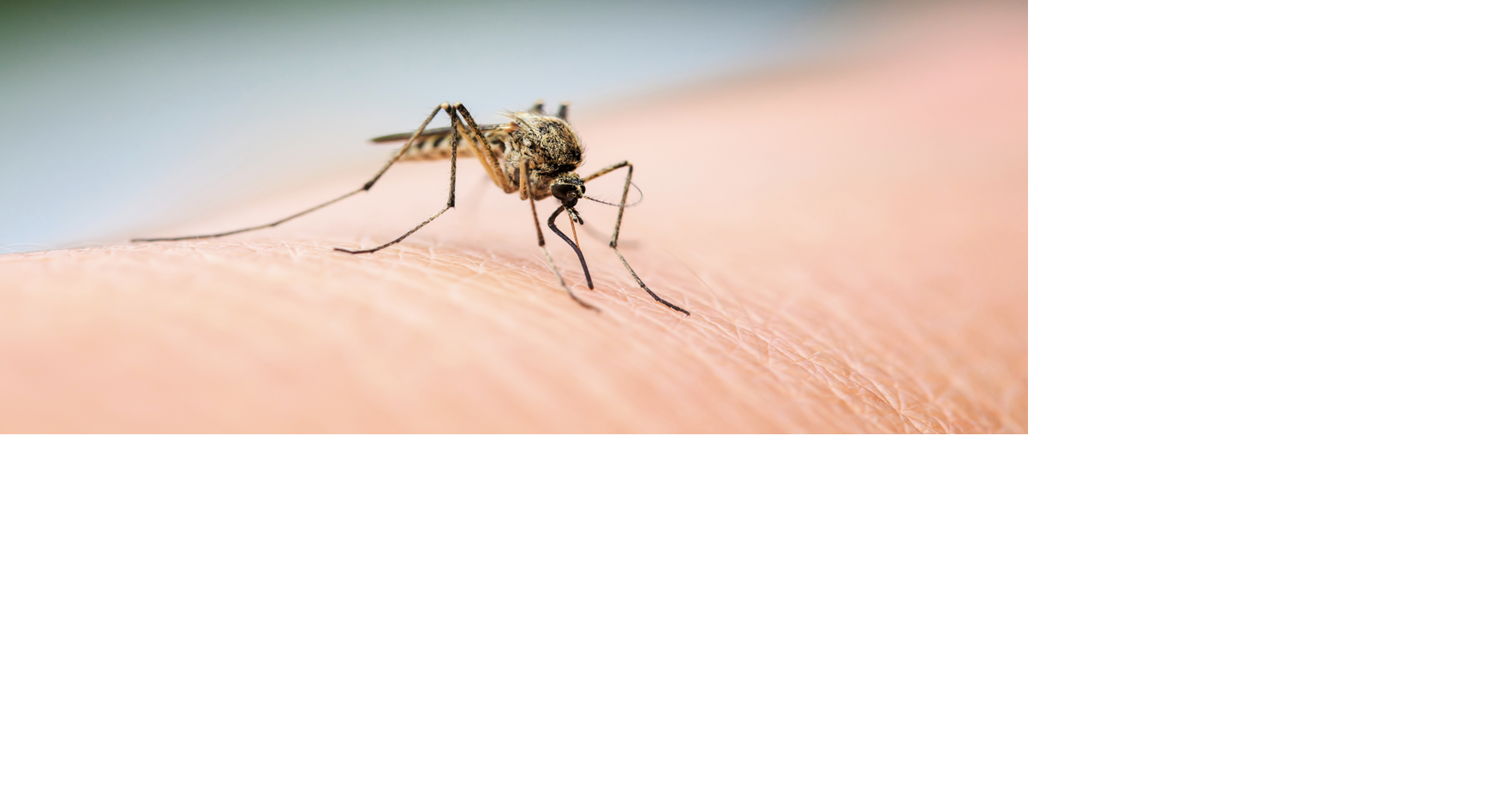 Local bird tests positive for West Nile Virus in Ventura | Health ...