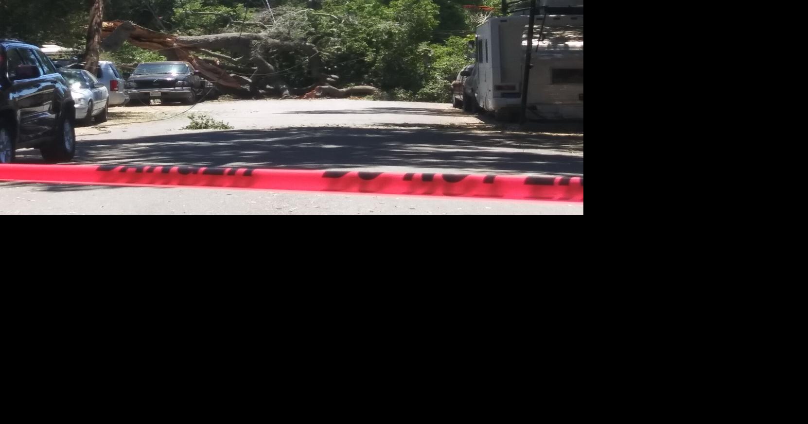 Downed tree blocks N. Padre Juan in Meiners Oaks | News ...