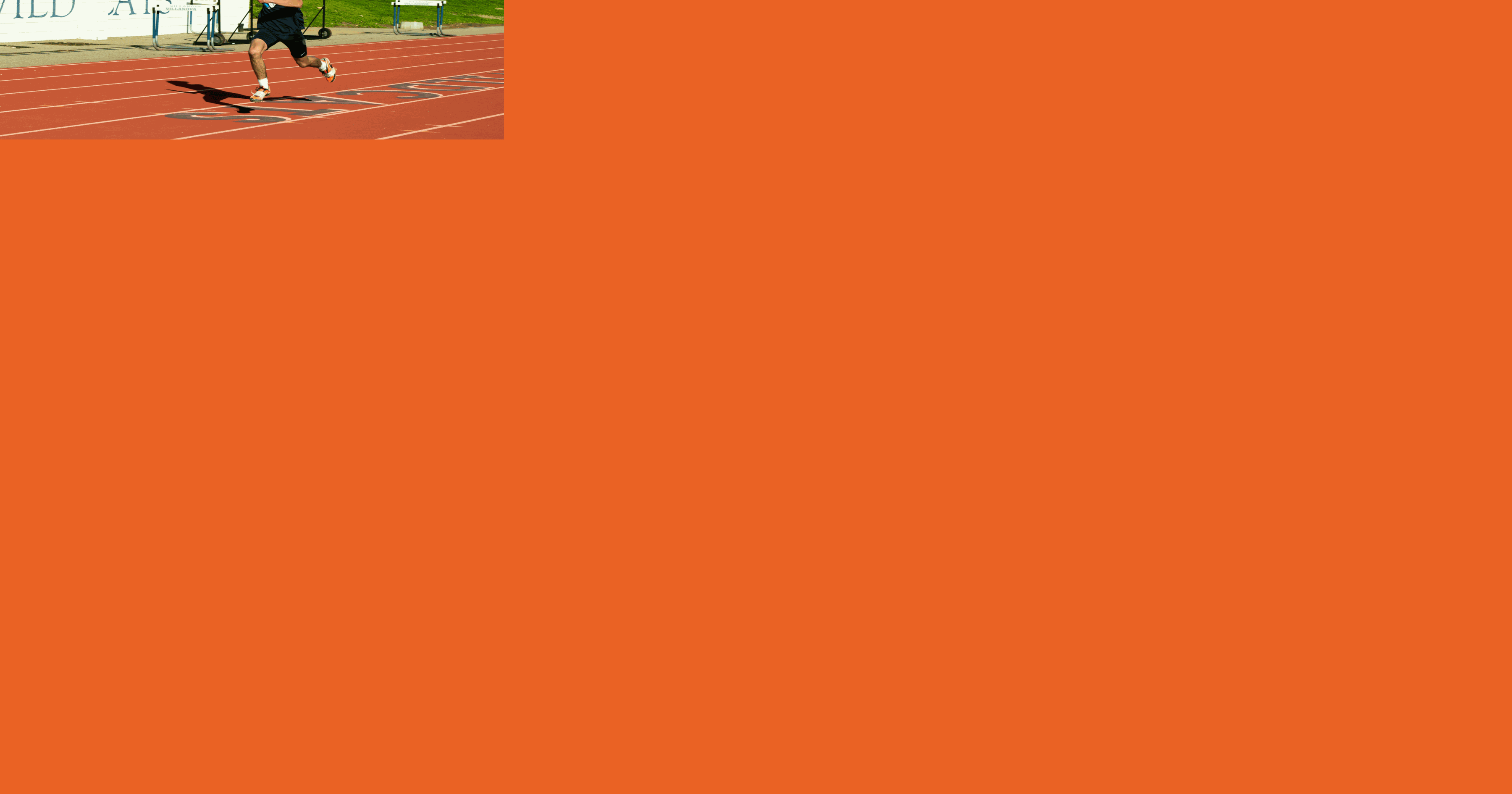 Small but mighty – Wildcats track and field | Sports | ojaivalleynews.com