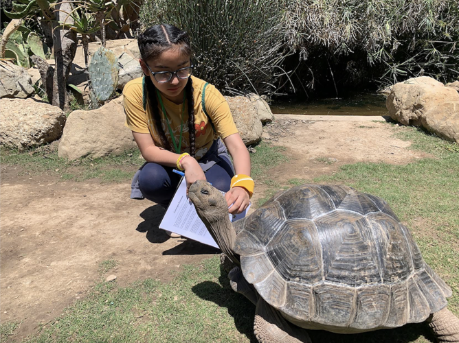 A look inside Turtle Camp | Culture | ojaivalleynews.com