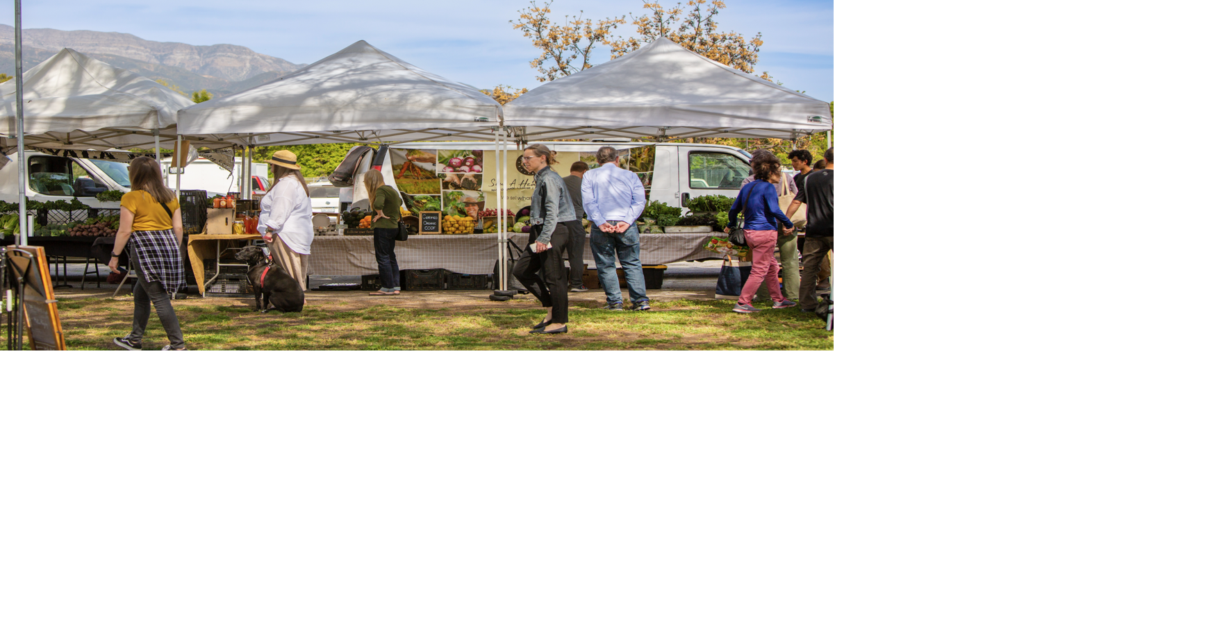 The giving season grows at Thursday farmers’ market | News ...
