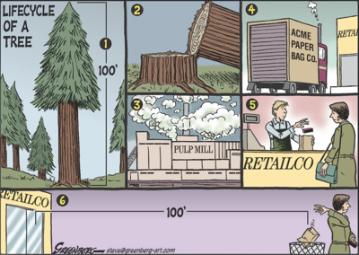 Lifecycle of a tree | Editorial Cartoon | ojaivalleynews.com