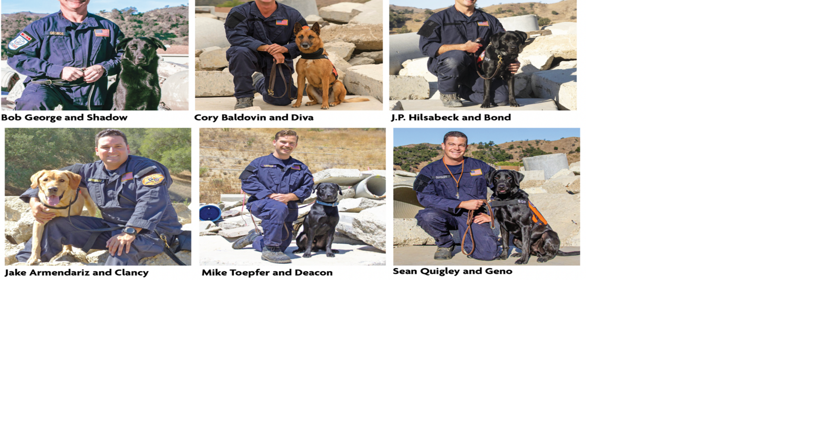 Locally trained search dogs deployed to save lives in Turkey | News ...