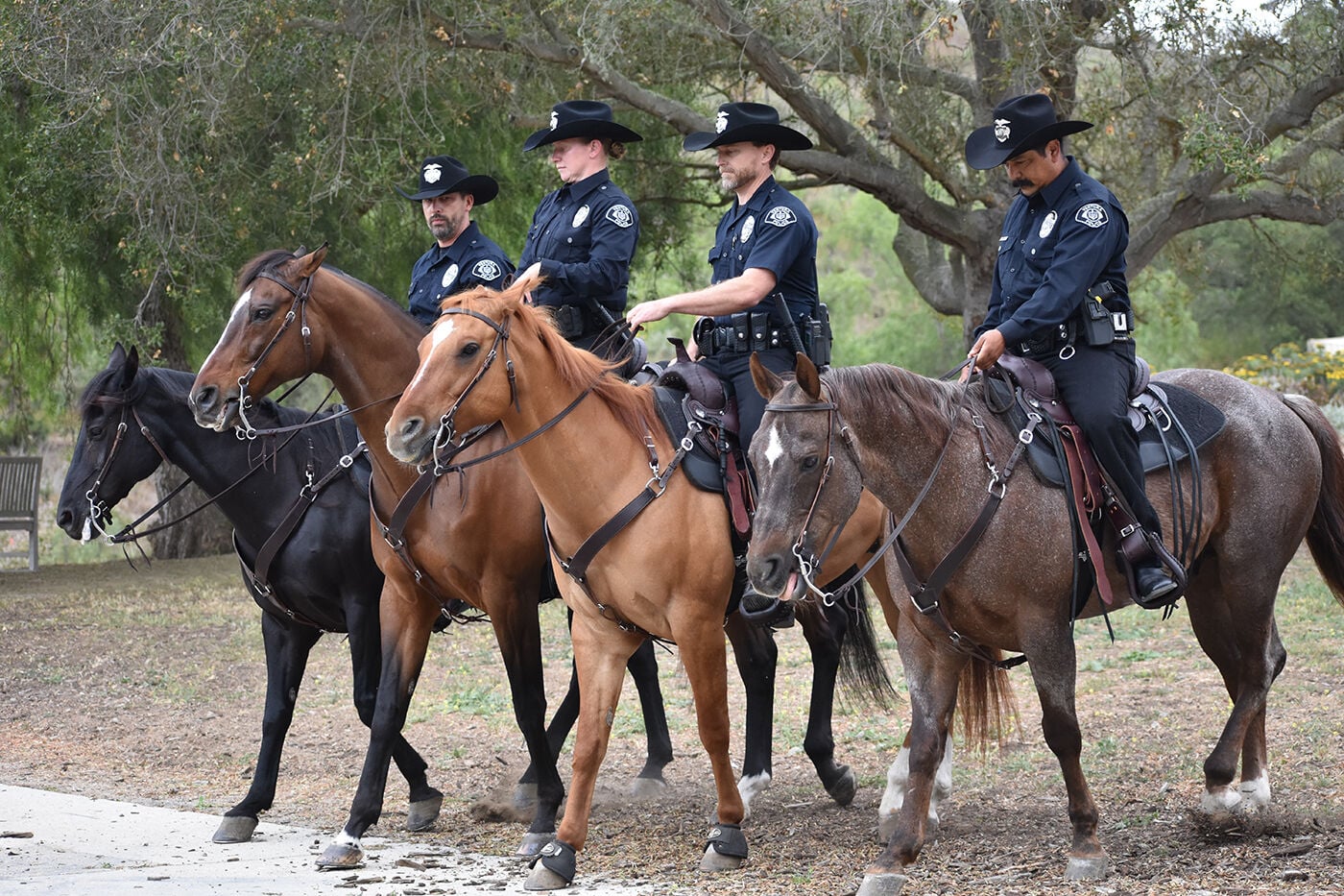 Ventura Police debuts first-ever Mounted Patrol Unit | News ...