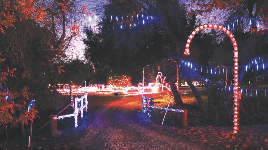 Camp Arnaz’s ‘Winter Wonderland’ until Dec. 30 | Culture | ojaivalleynews.com