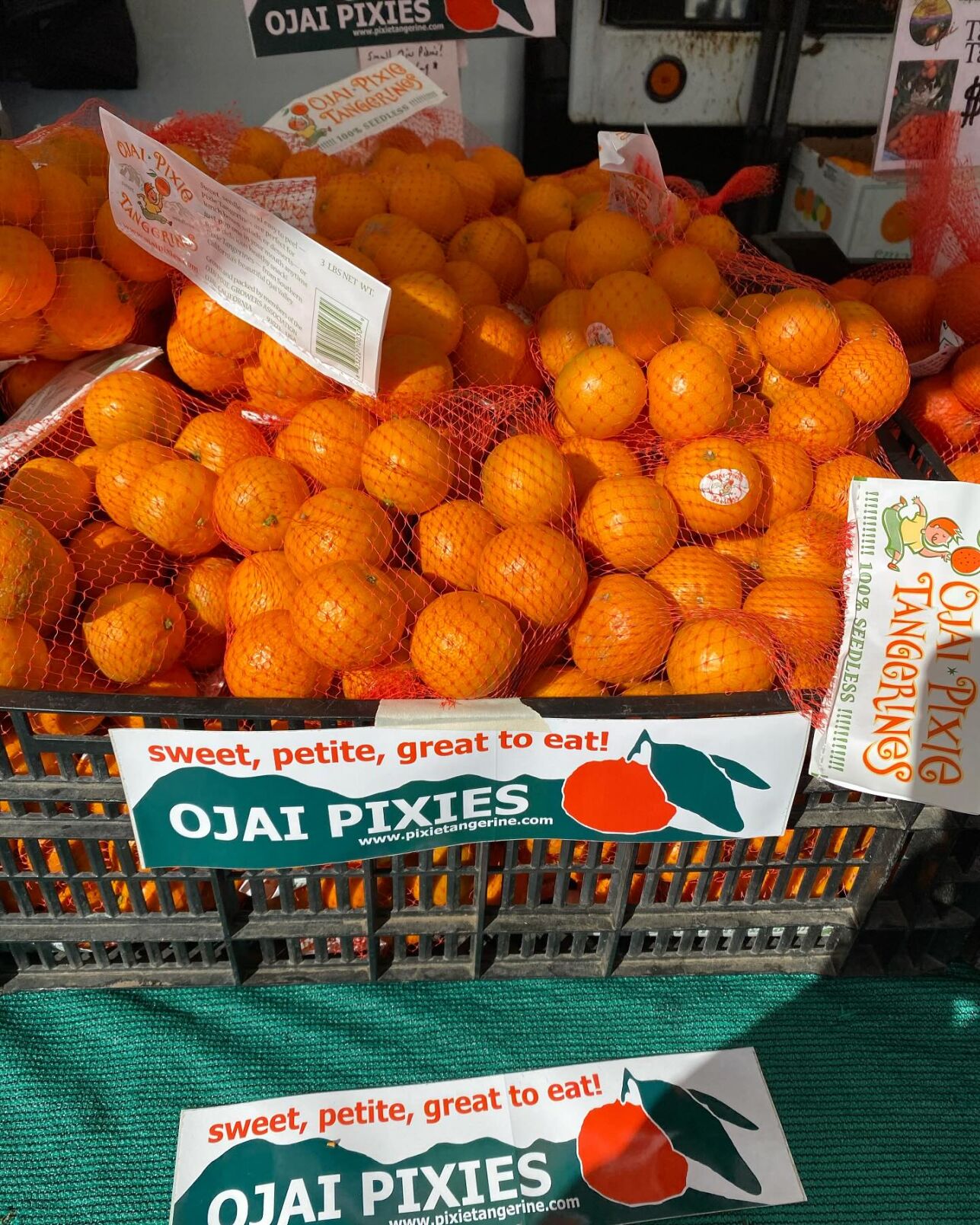Giant year for Ojai pixies | Business | ojaivalleynews.com