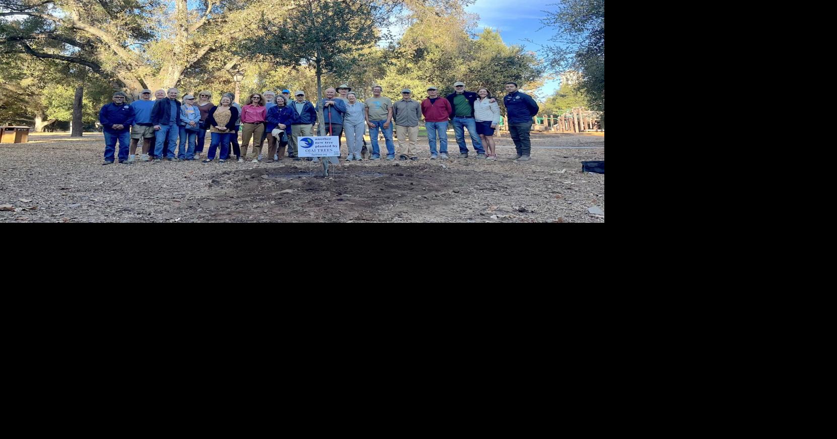 Libbey Park gets its newest tree as Ojai Trees lauded | Outdoors ...