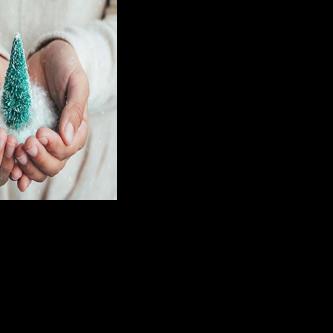 OUSD launches 'Holiday Family Tree' | News | ojaivalleynews.com