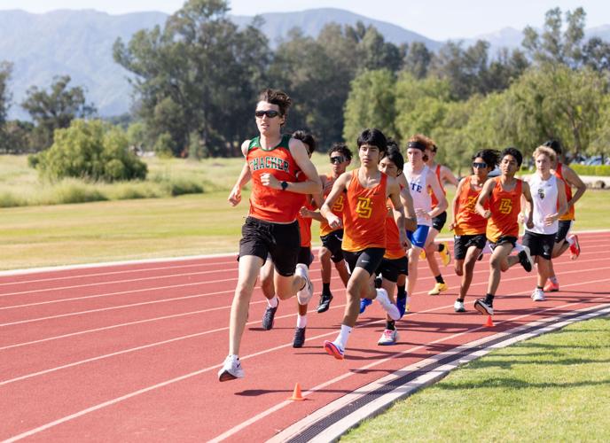 Toads track and field flies through the season | Sports ...
