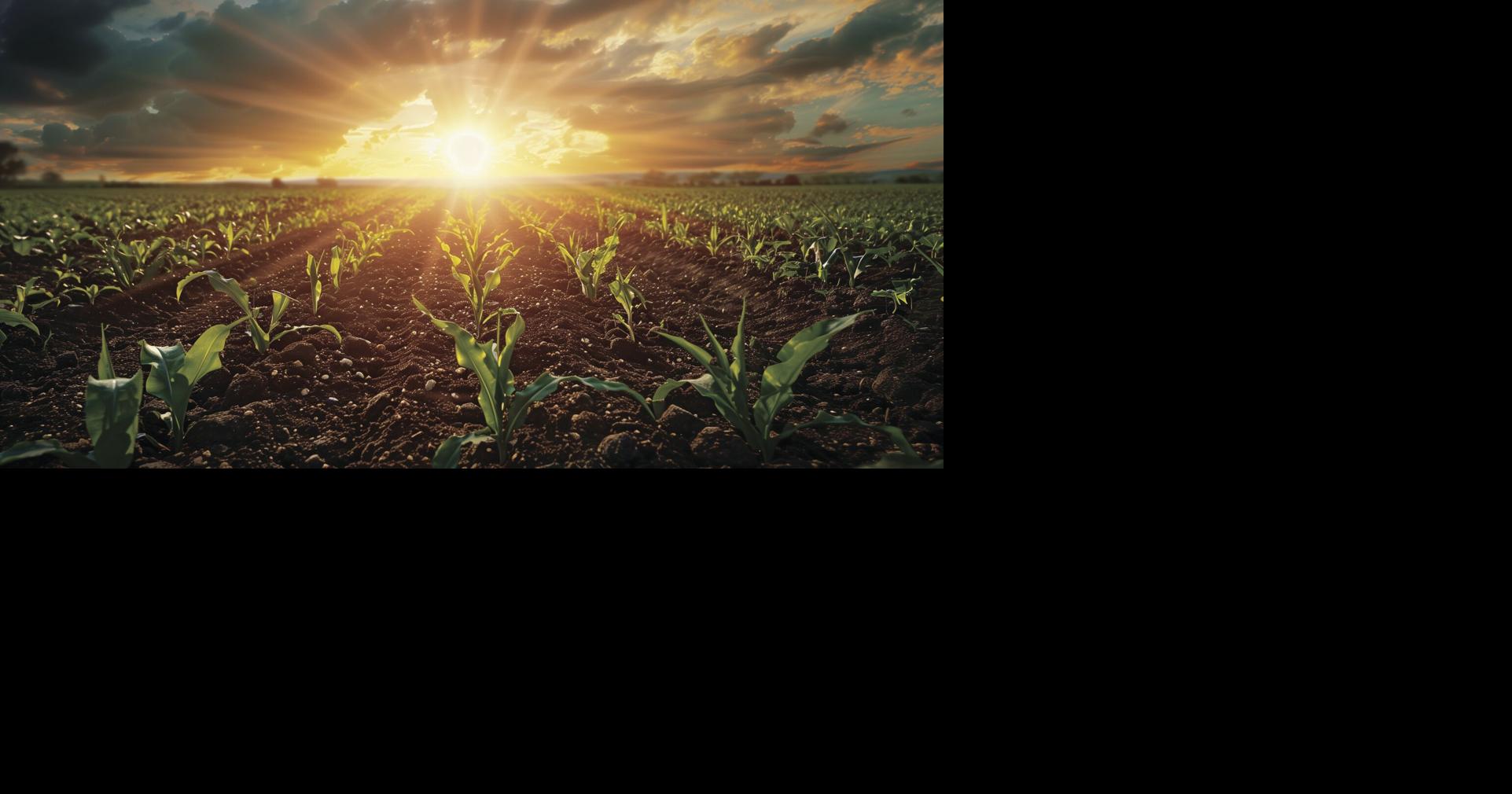 Explore all sides of regenerative ag at Ojai Library | Culture ...