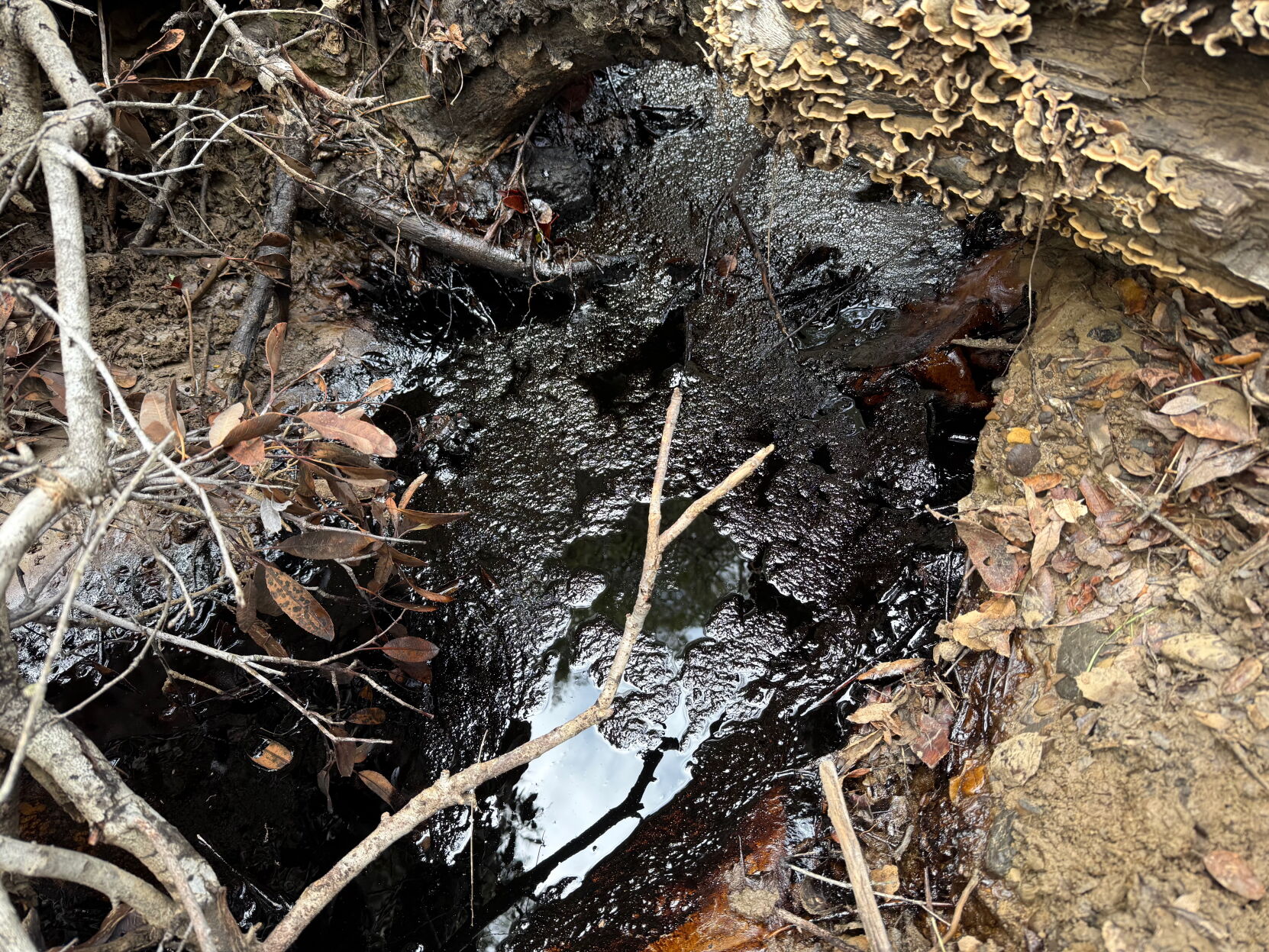 Mechanical failure and human error cause of oil spill into Sisar Creek ...