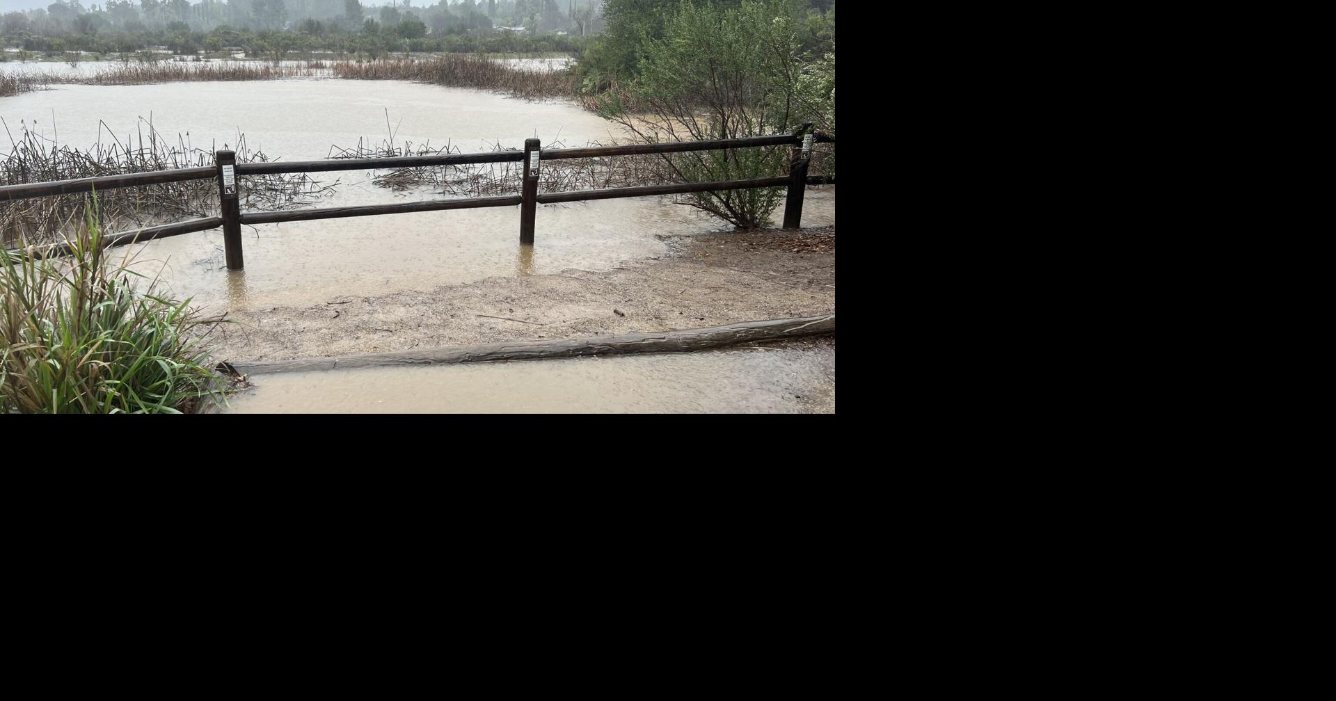 Goats, mules, mud, and river rescues | Environment | ojaivalleynews.com