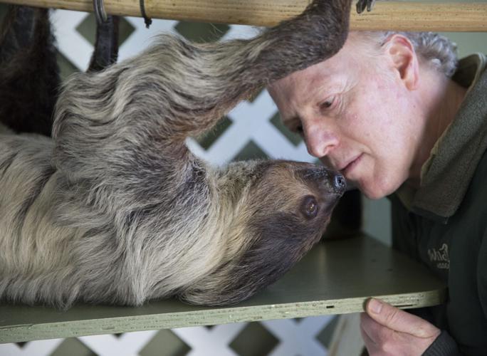 Children & animals heal together in film screening at Krotona Institute ...