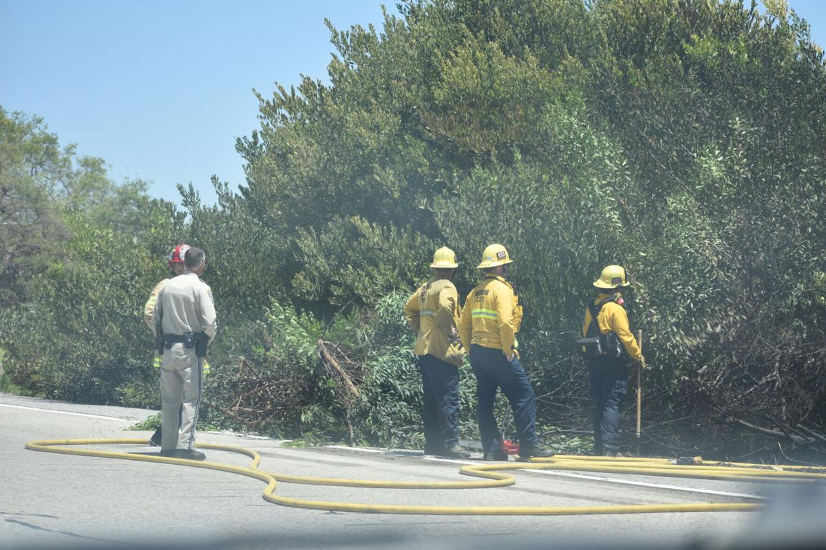 Small Vegetation Fire Breaks Out Off Route 126 Near Victoria Ave Exit