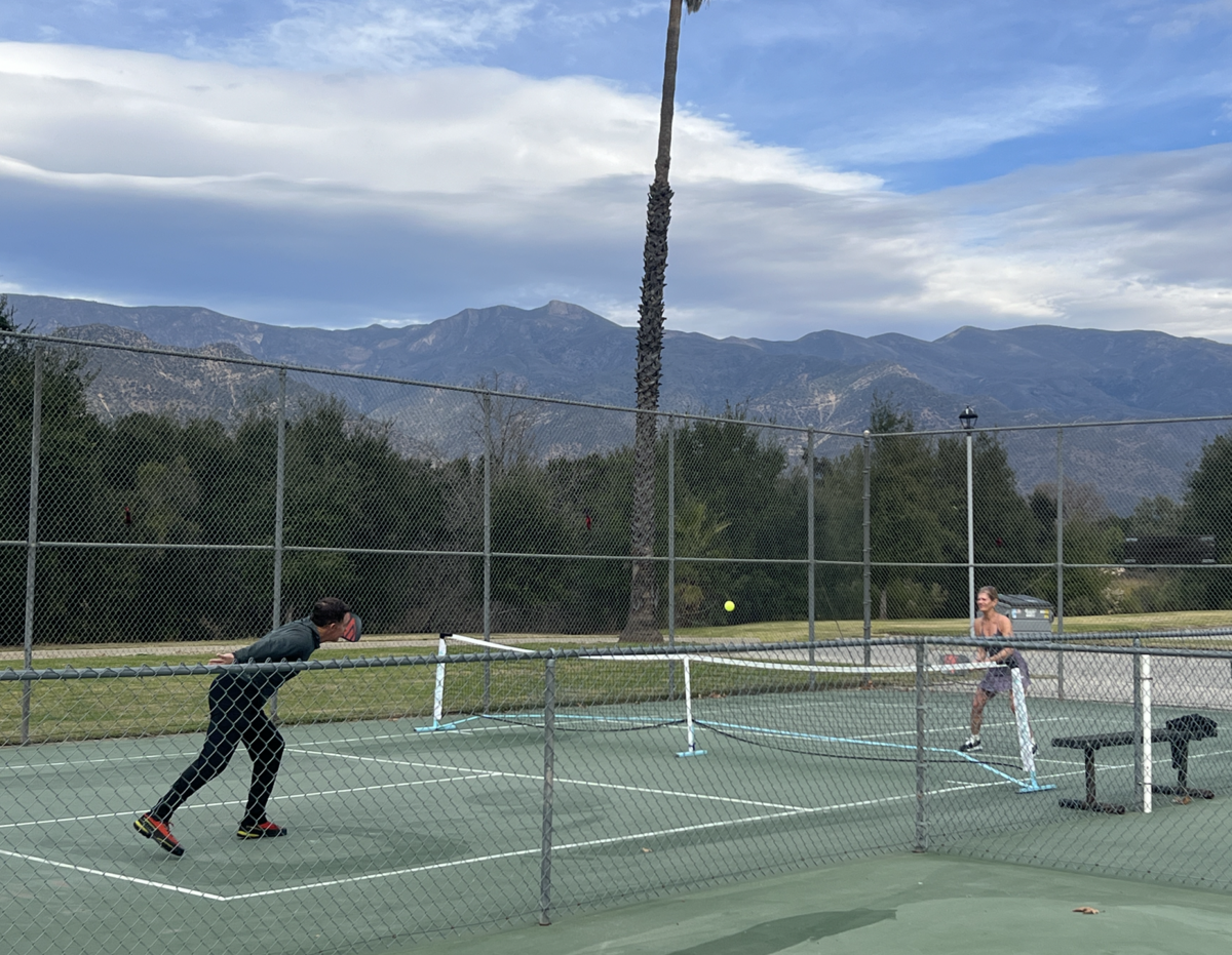 Special pickleball council meeting on for Jan. 30 | Government ...
