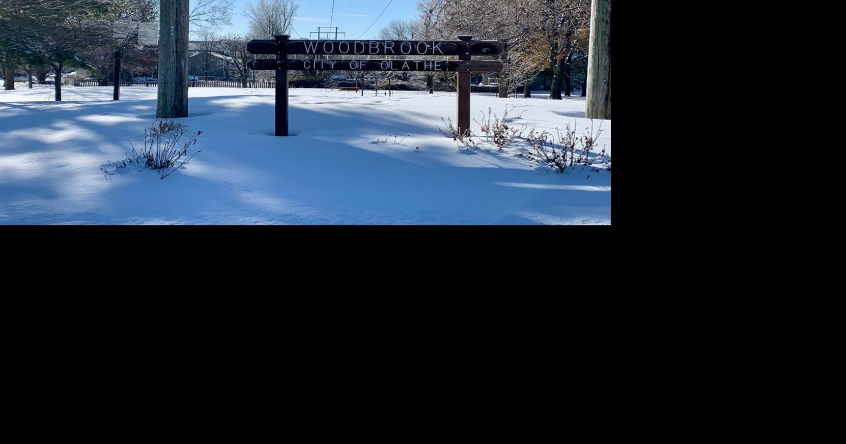 City continues 'neighborhood park' upgrades with Woodbrook renovations ...