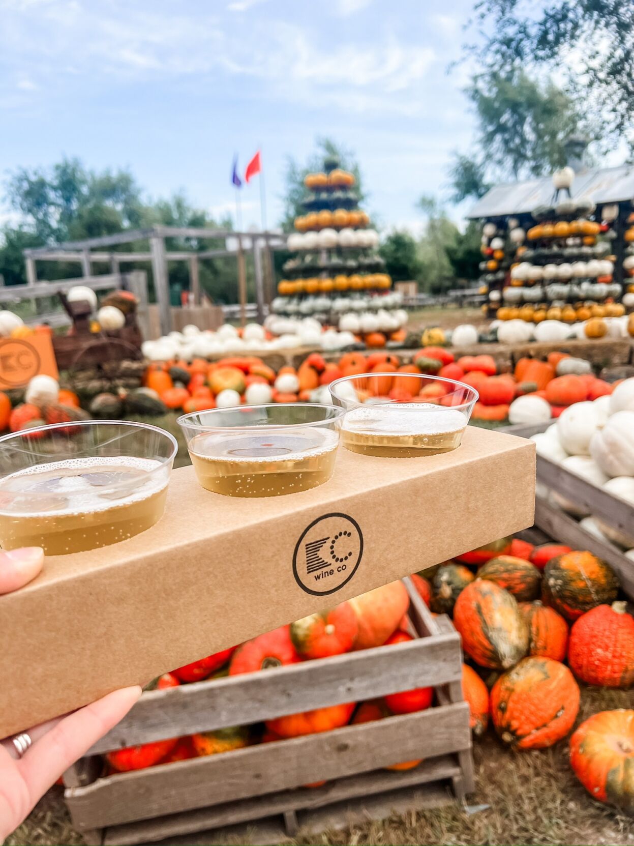 Cider Fest returns to KC Wine Co. | Features | olathereporter.com