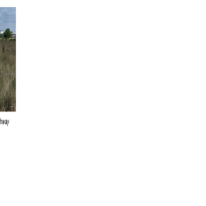 Planning board approves development plan for lots at Walmart beef site ...