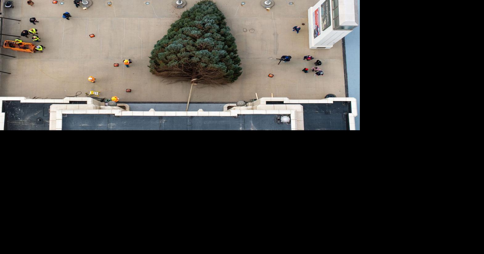 Christmas at Union Station's tree a gift from two families