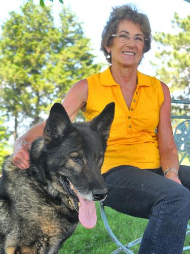 Springfield German shepherd star of the set of upcoming Shia LaBeouf movie