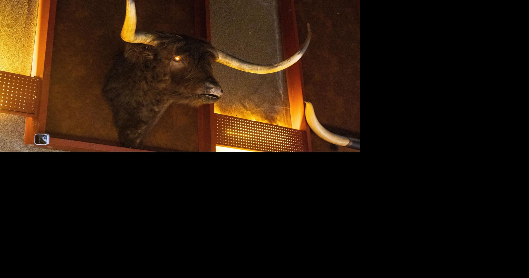 050126-owh-new-berkjump4