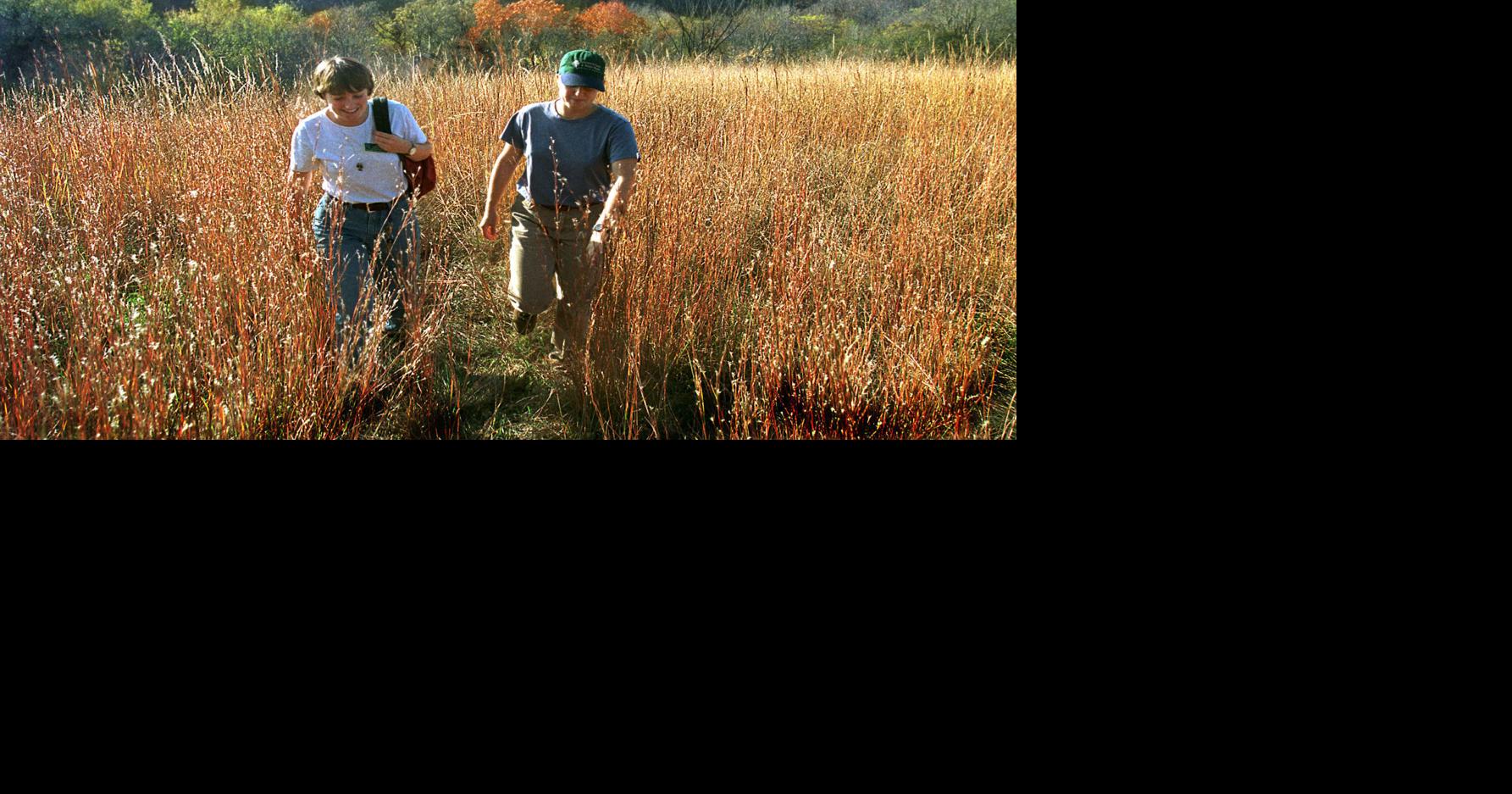 Nature center at Neale Woods in northern Omaha to be returned to native ...