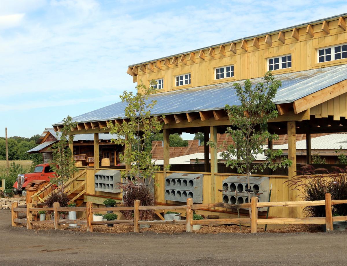 The scoop on the coop: Vala’s hatches new attraction | Good News ...