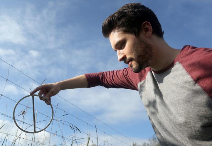 Researchers attempt to untangle some mysteries of the spider web