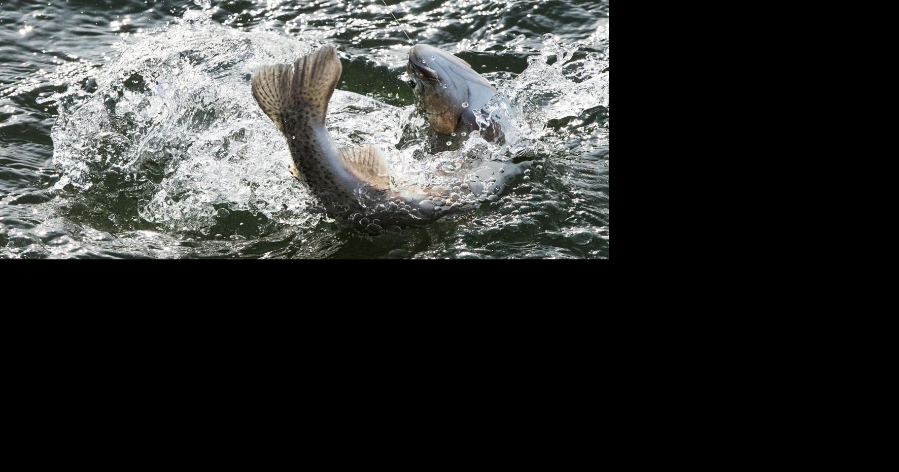 Photos: Autumn anglers at Big Lake Park