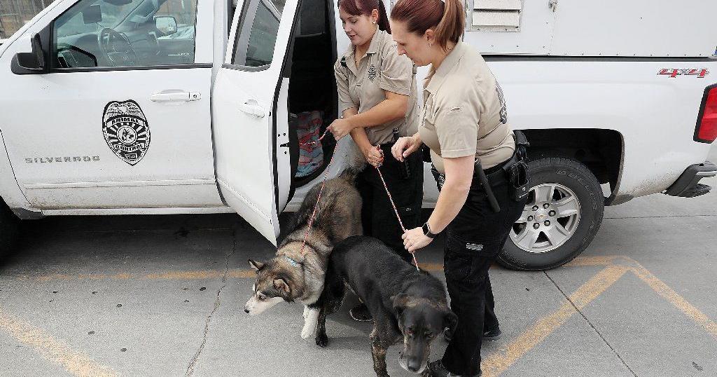 Dog impound fees climb countywide