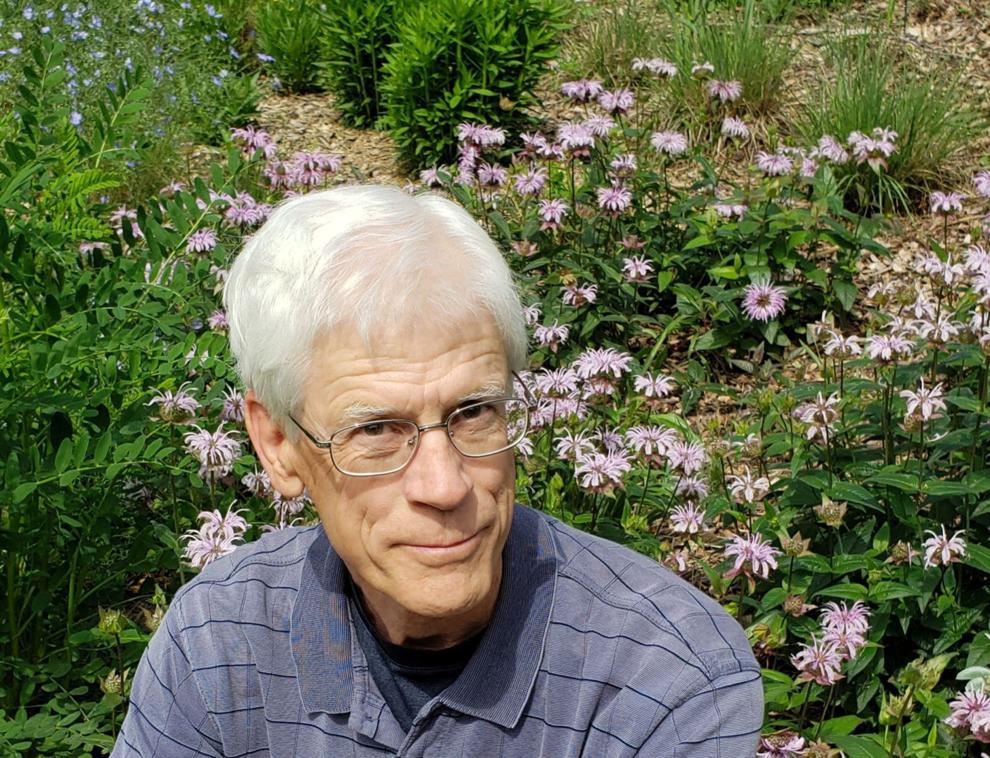 Super spreader wildflowers 'fight it out' in backyard garden brawl