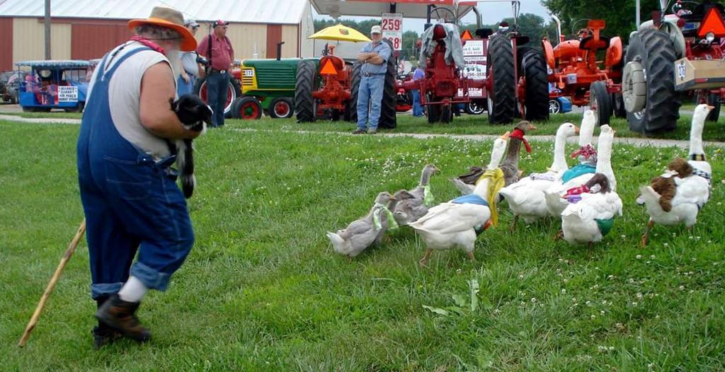 The Gooseman Has Finally Been Caught | Courtside Cinema