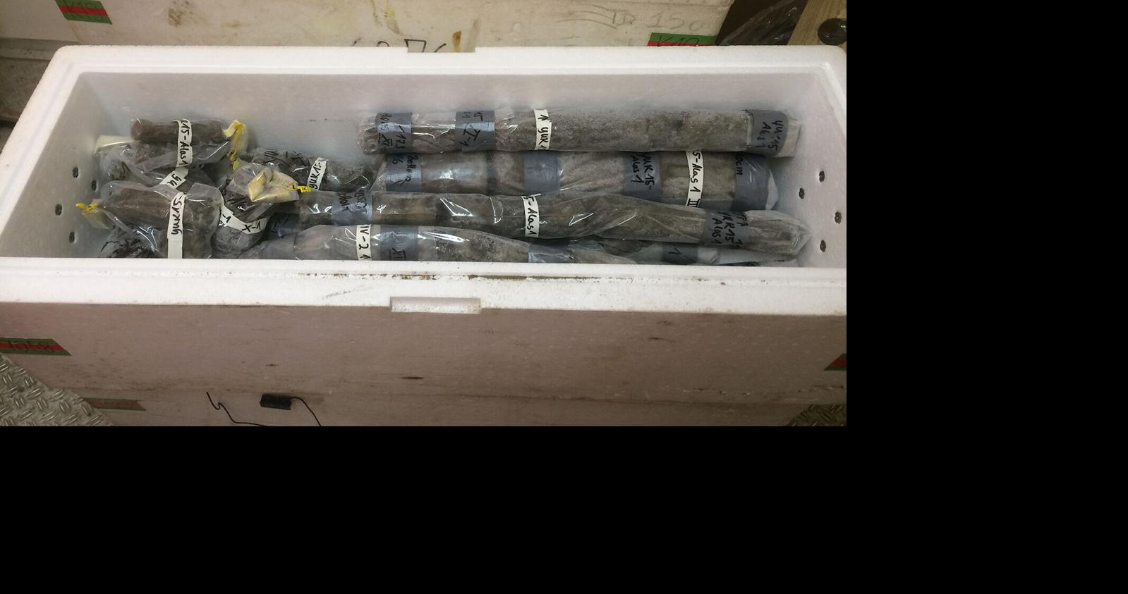 Scientists have revived a 'zombie' virus that spent 48,500 years frozen ...