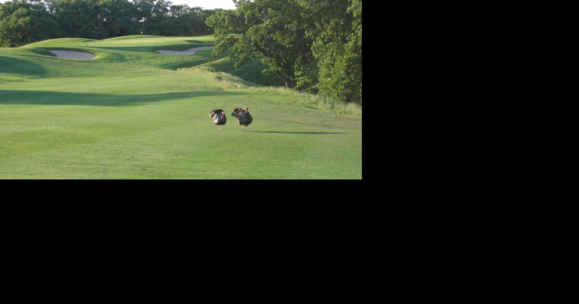 Quarry Oaks closes for 2023 season to complete major remodel, Field ...