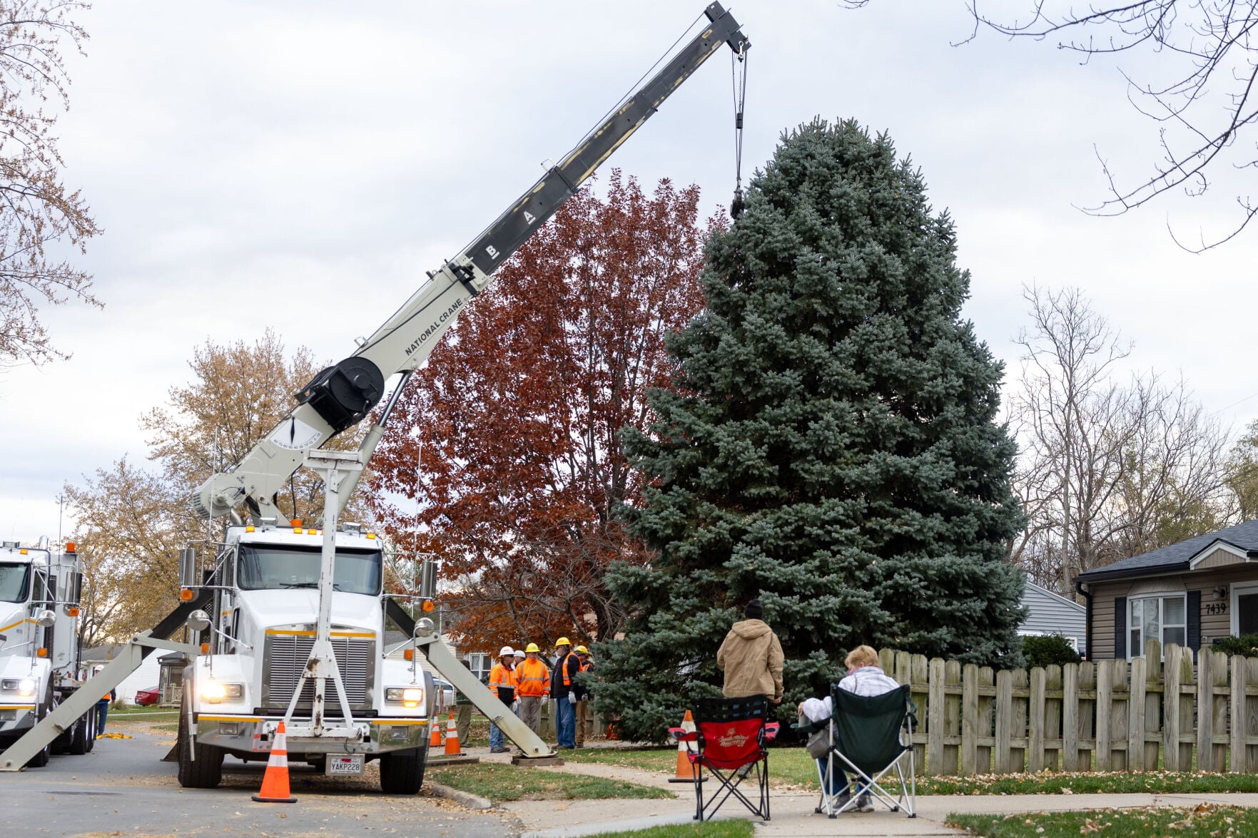 Durham Museum seeks perfect tree for Christmas at Union Station