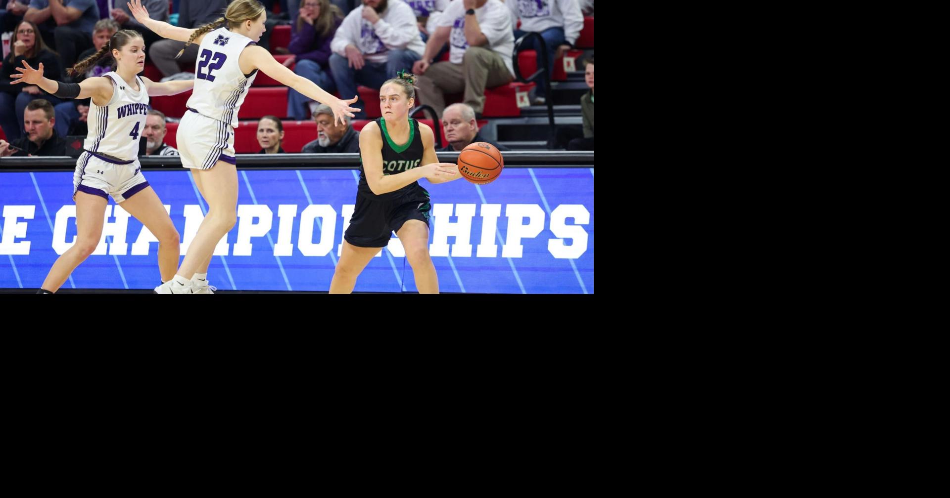 Minden on hunt for state volleyball, basketball title sweep