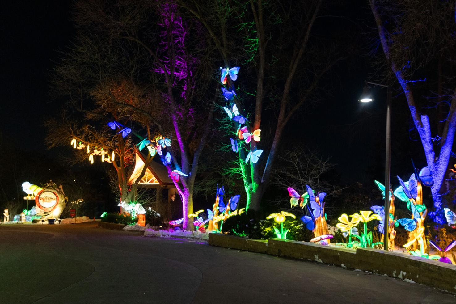 Photos: Omaha's Henry Doorly Zoo and Aquarium hosts Zoolightful