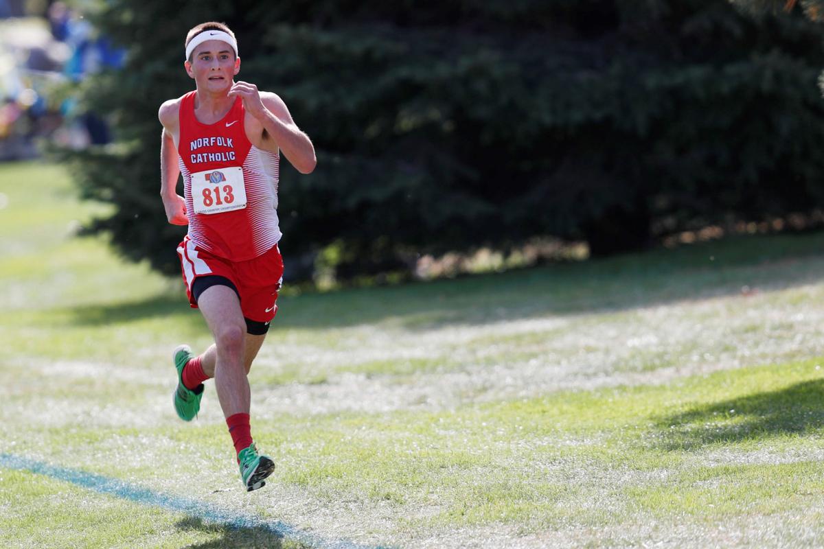 Class D: Jonah Heng helps Norfolk Catholic to boys title, Ainsworth ...