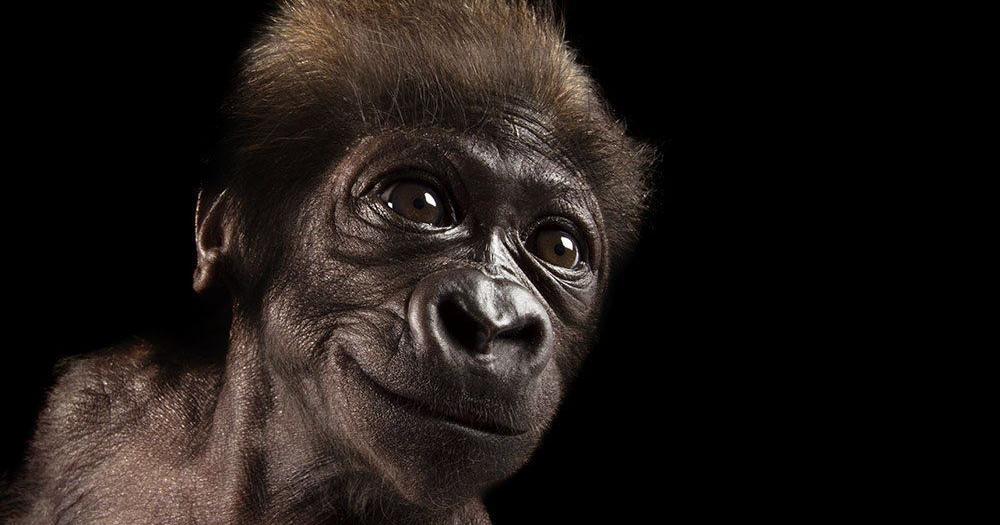 For photographer Joel Sartore, whose exhibit is coming to Omaha ...