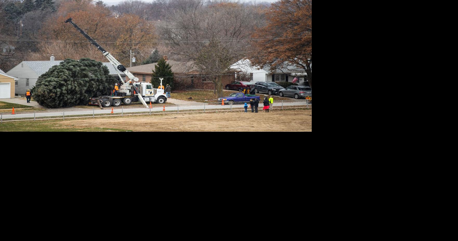 Photos: Transporting a 50-foot tree to the Durham Museum