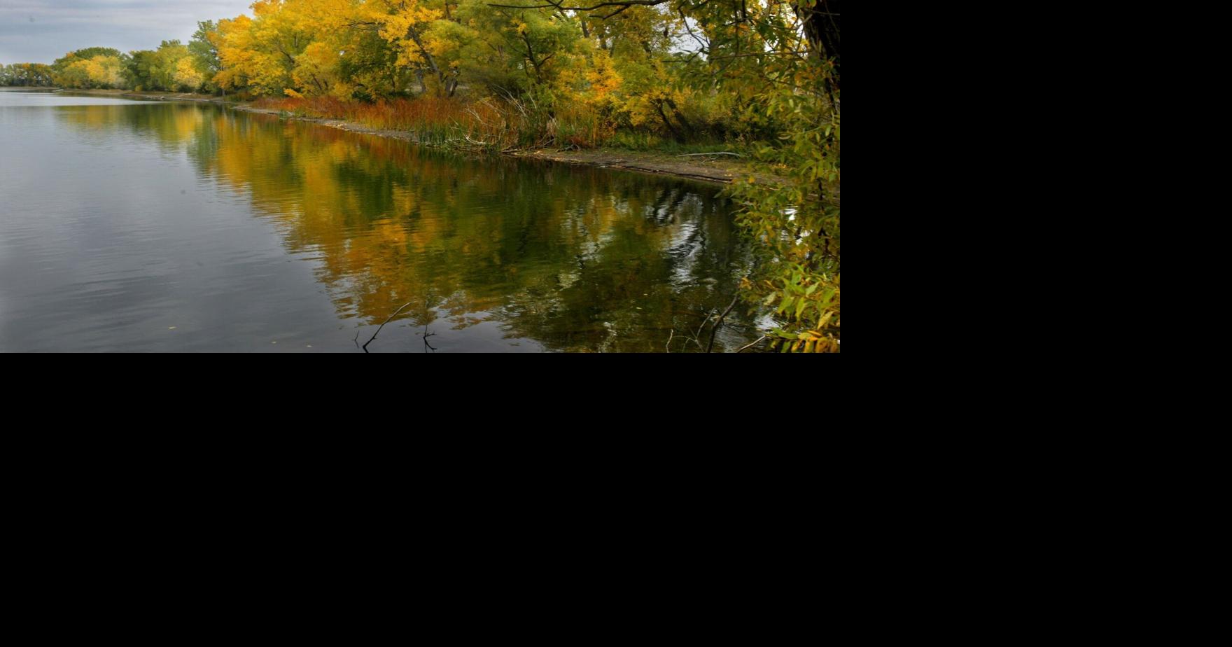 Reminisce on falling into autumn