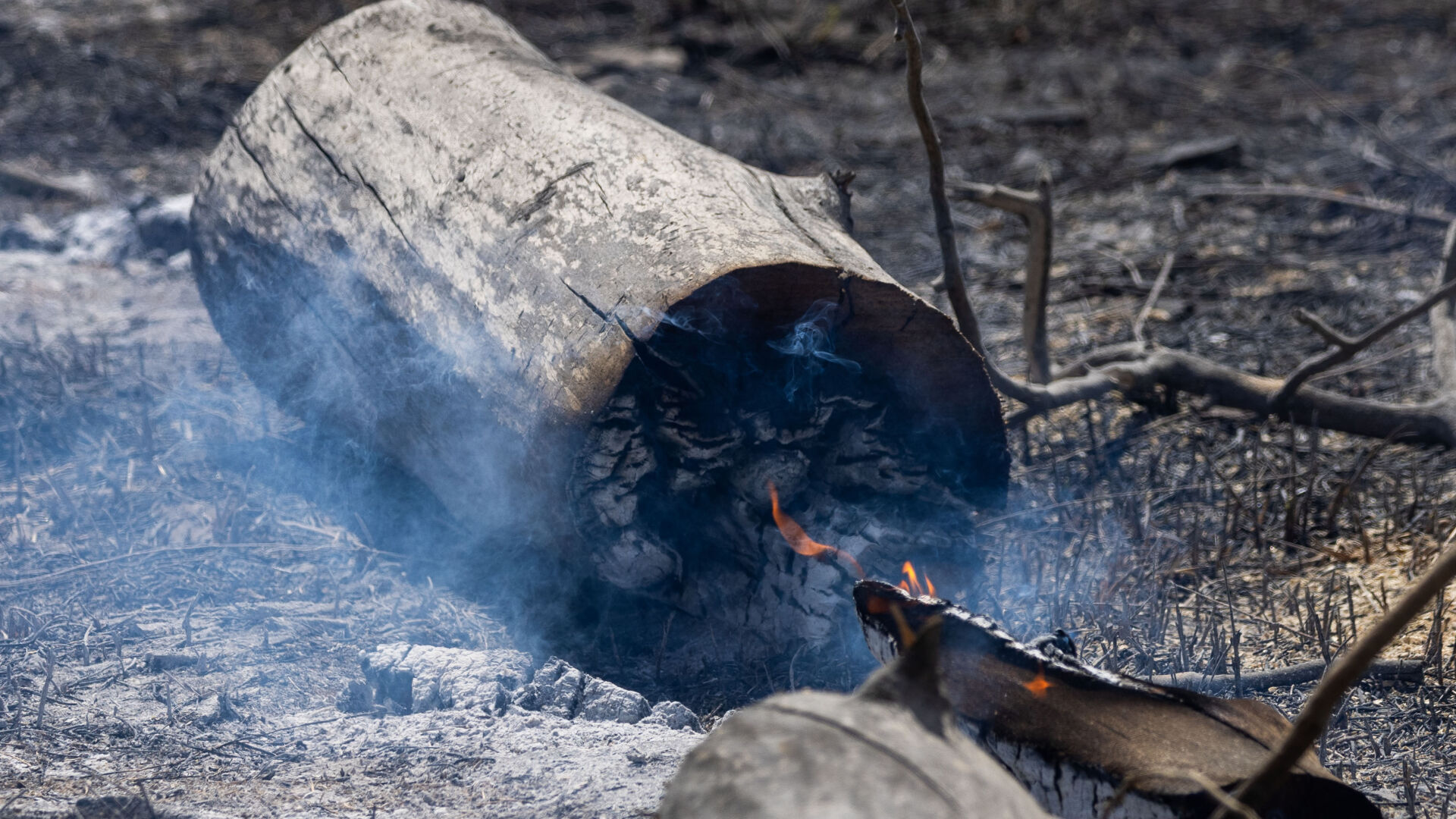 Firefighters battle Peru wildfire in southeast Nebraska