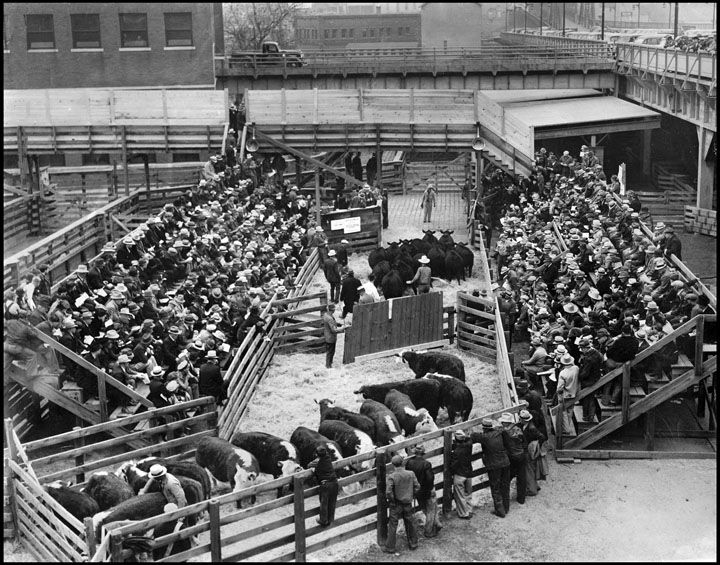 From the Archives: How Omaha's stockyards became the 'world's largest'