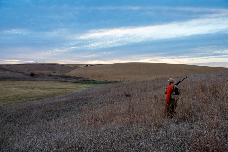 Nebraska's pheasant hunting outlook on the upswing with season opening ...