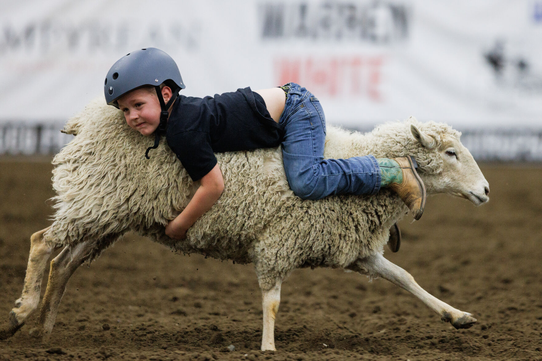 Photos: John Cook Team Roping Classic