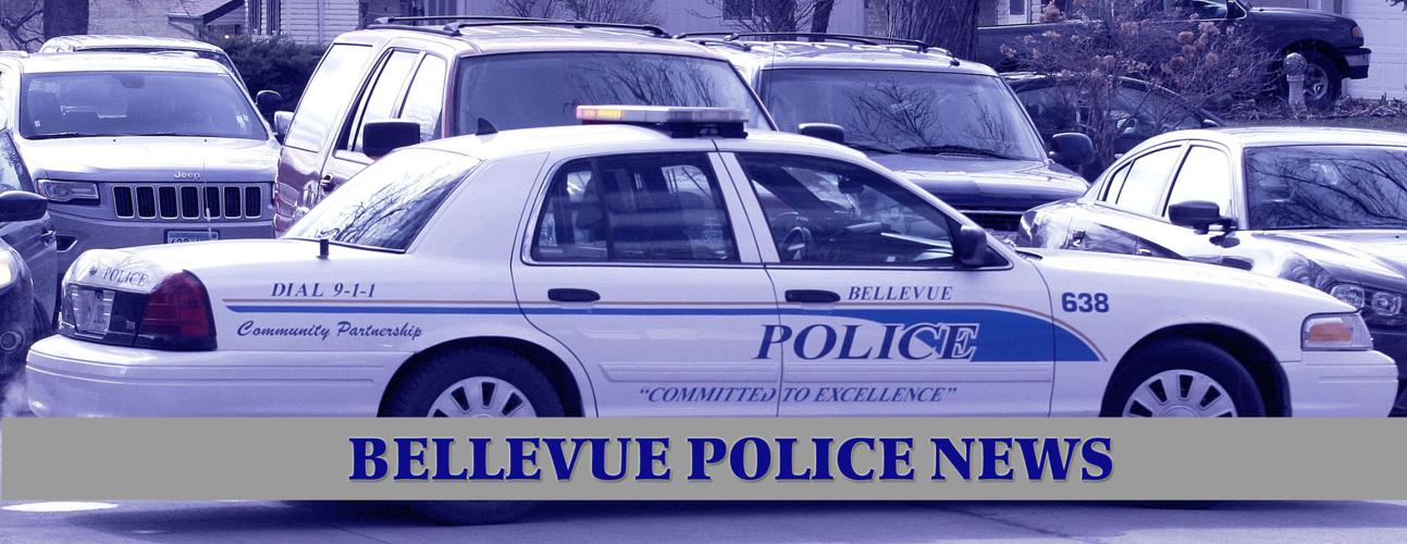 Omaha woman pleads guilty to second-degree murder in death of Bellevue man