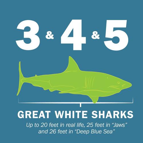 Infographic: How the Meg shark compares in size to other movie monsters
